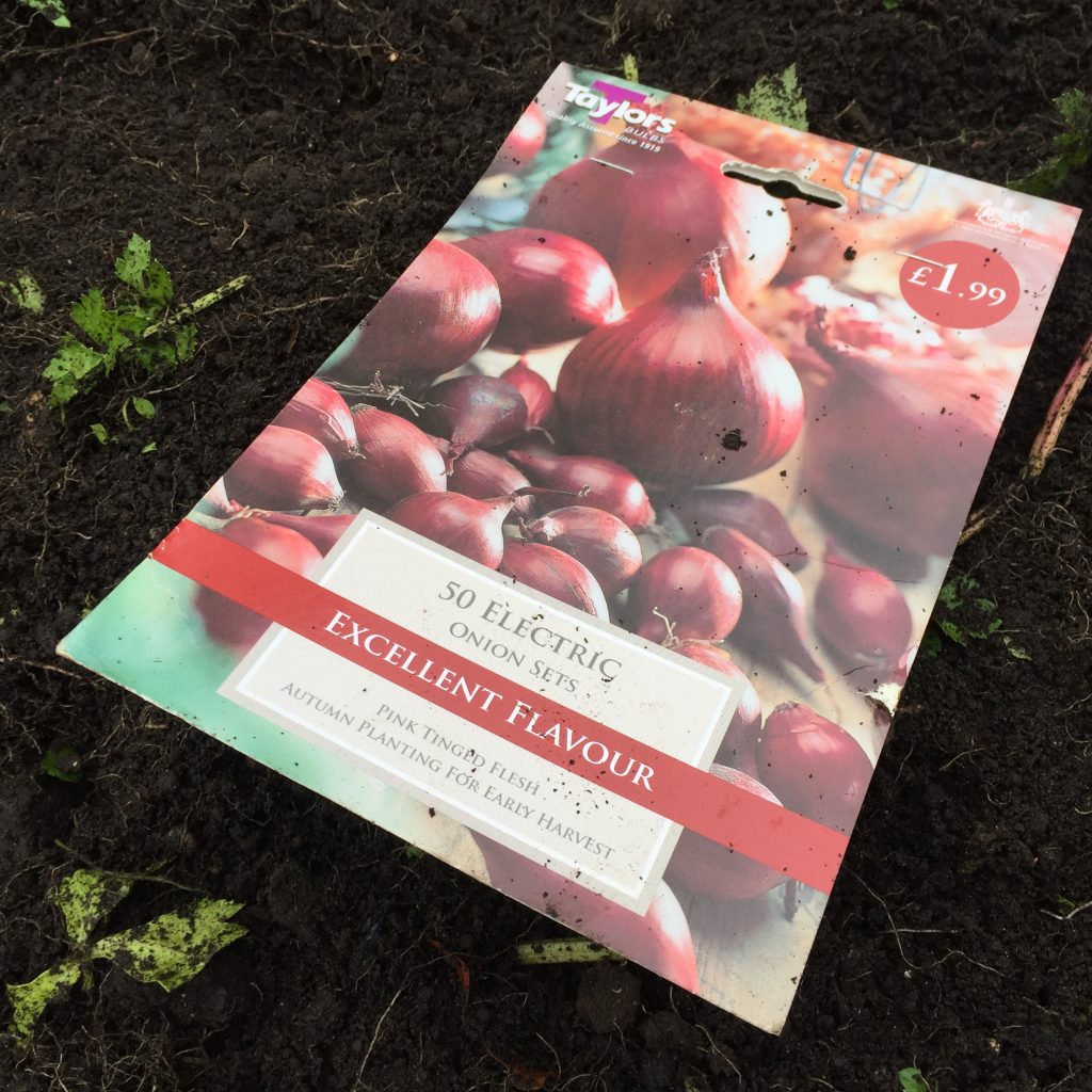 50 electric onions planted » My Home Farm