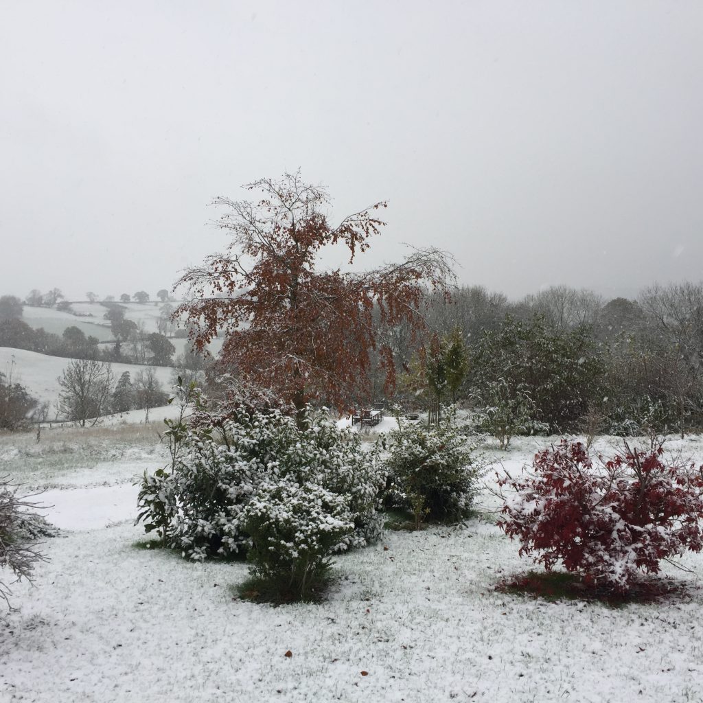 First winter snow for us » My Home Farm