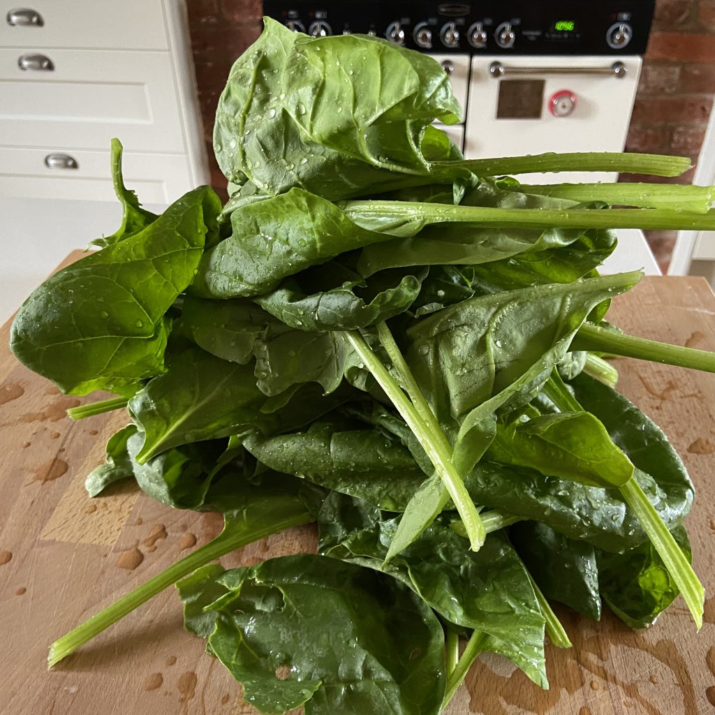 Spinach from our veg patch to make spinach soup – Kirsten & Mars