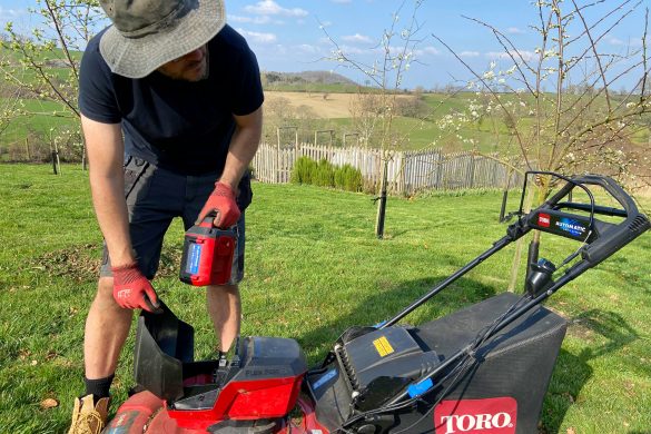 Fighting slugs organically and naturally using nematodes » My Home Farm